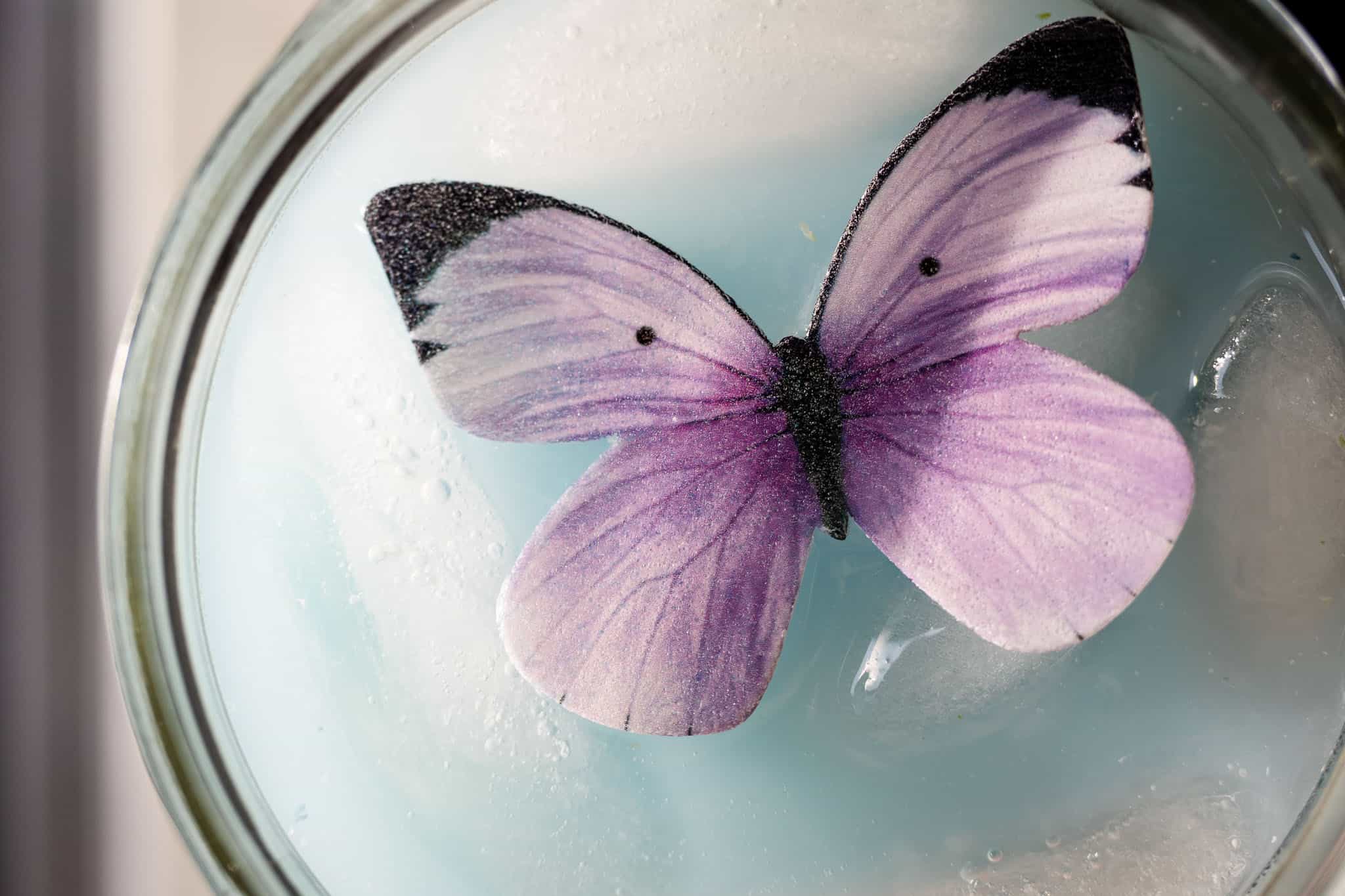 How to Make Butterfly Pea Flower Tea - Plain & Simple Home